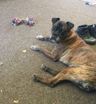 Bildergrüße von Kalle